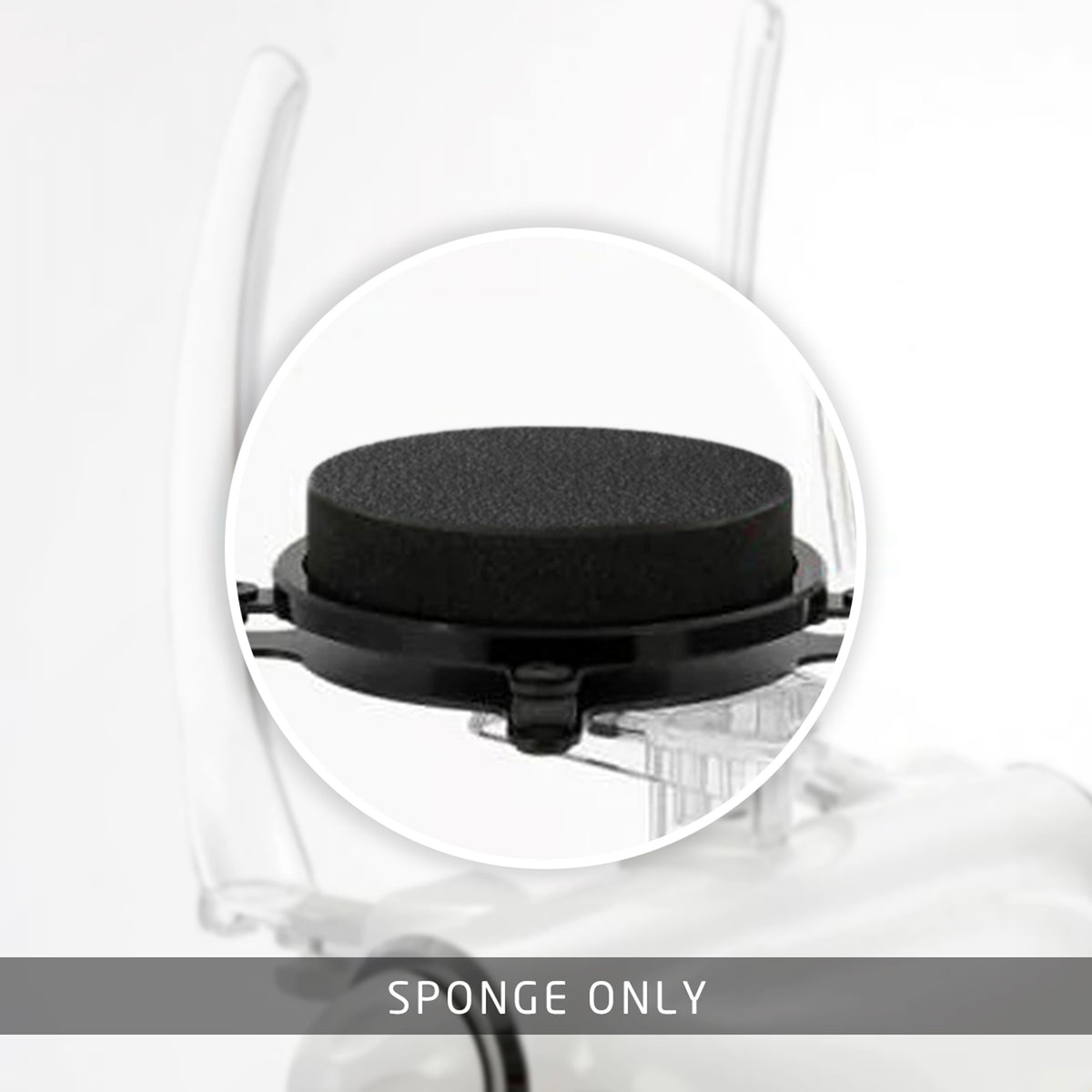 Object Scan JIG Sponge Disk (2pcs) – Ray Online Store